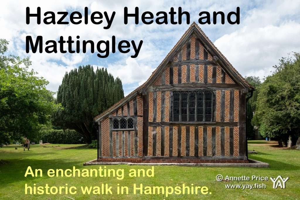 Hazeley Heath And Mattingley: An Enchanting Historic Walk In Hampshire ...